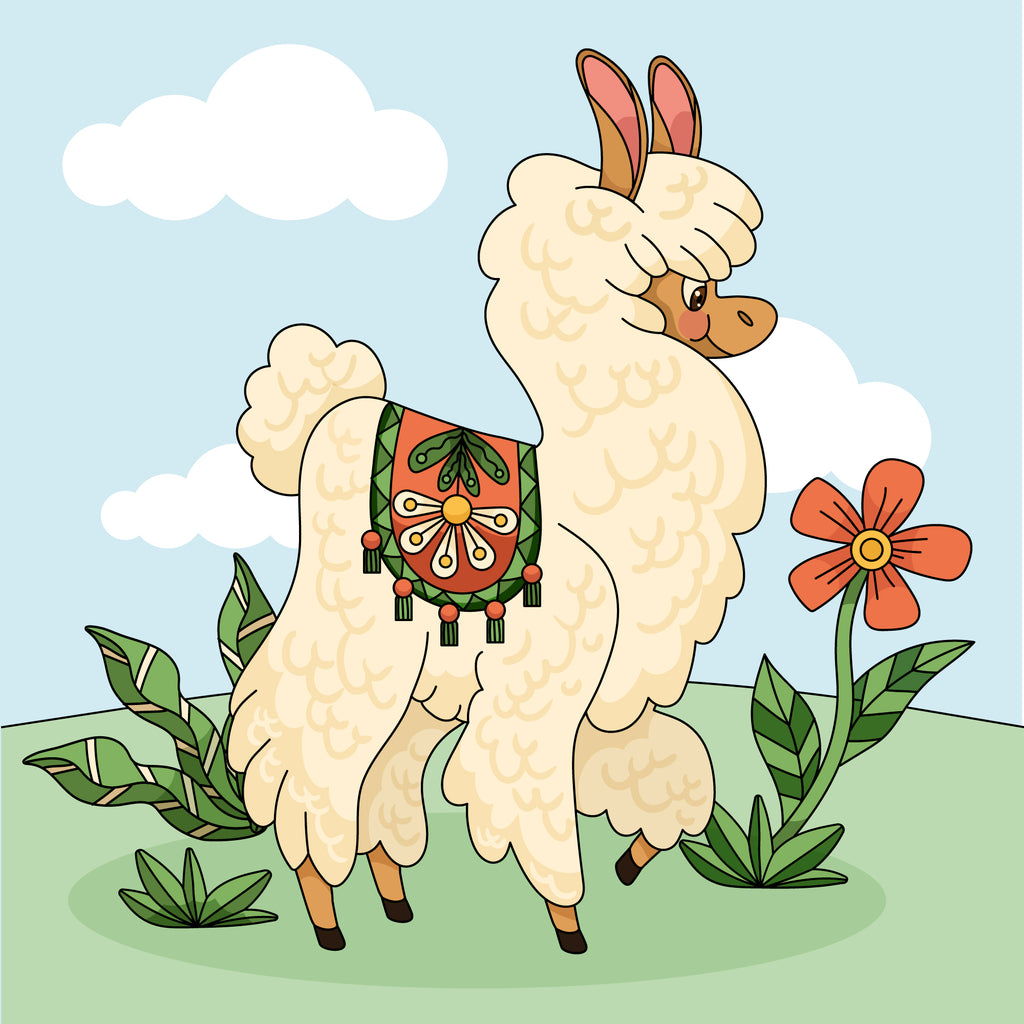 All Alpaca – AlpacaOutlets