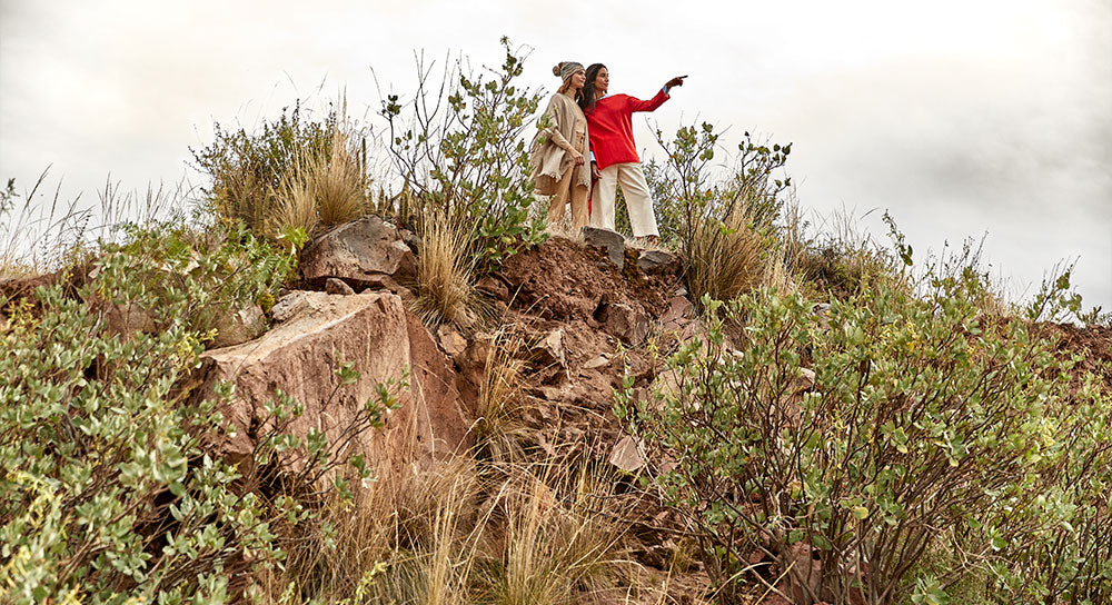 Prioridades actuales para los viajes sostenibles internacionales ...